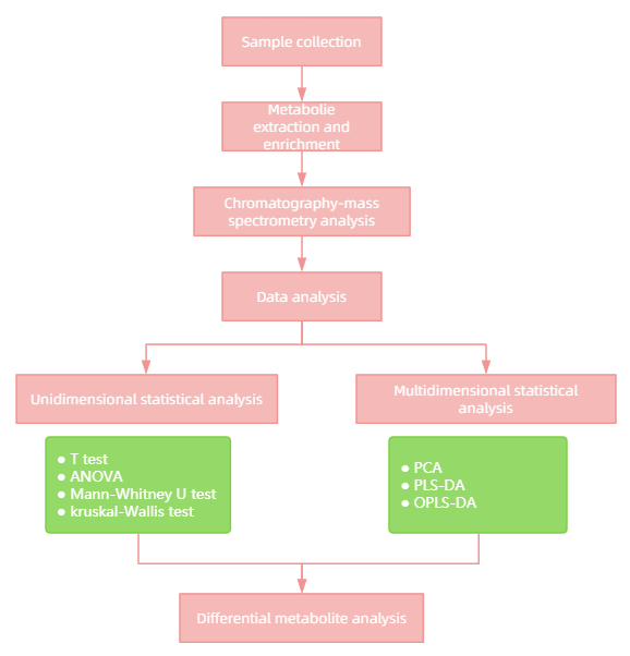 γ-Glu-Met Analysis Service | MtoZ Biolabs
