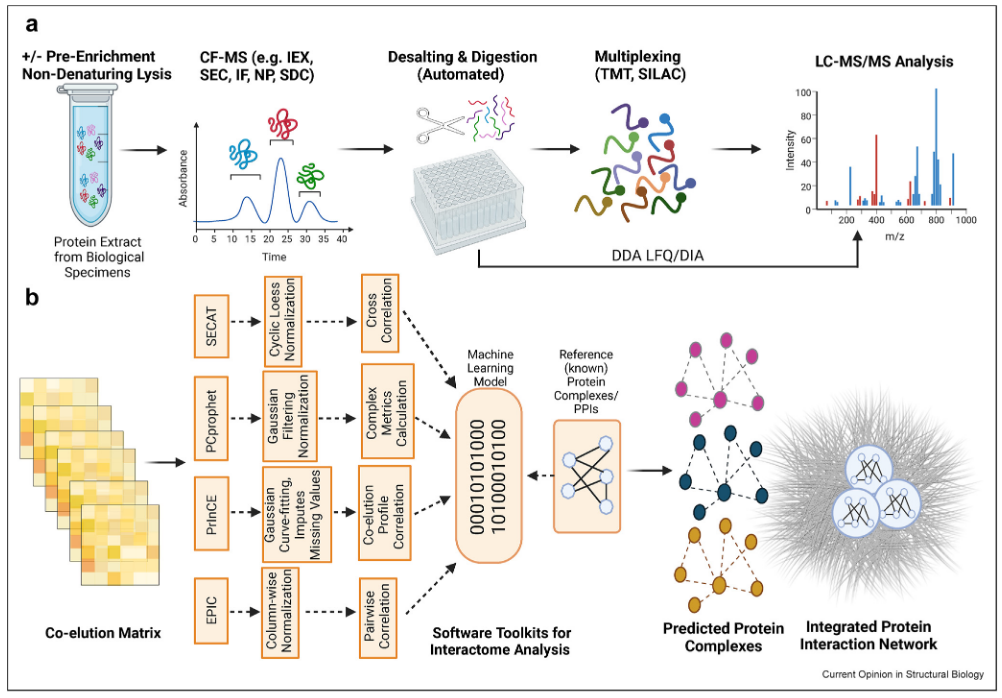 Mass Spec Protein Analysis Service MtoZ Biolabs