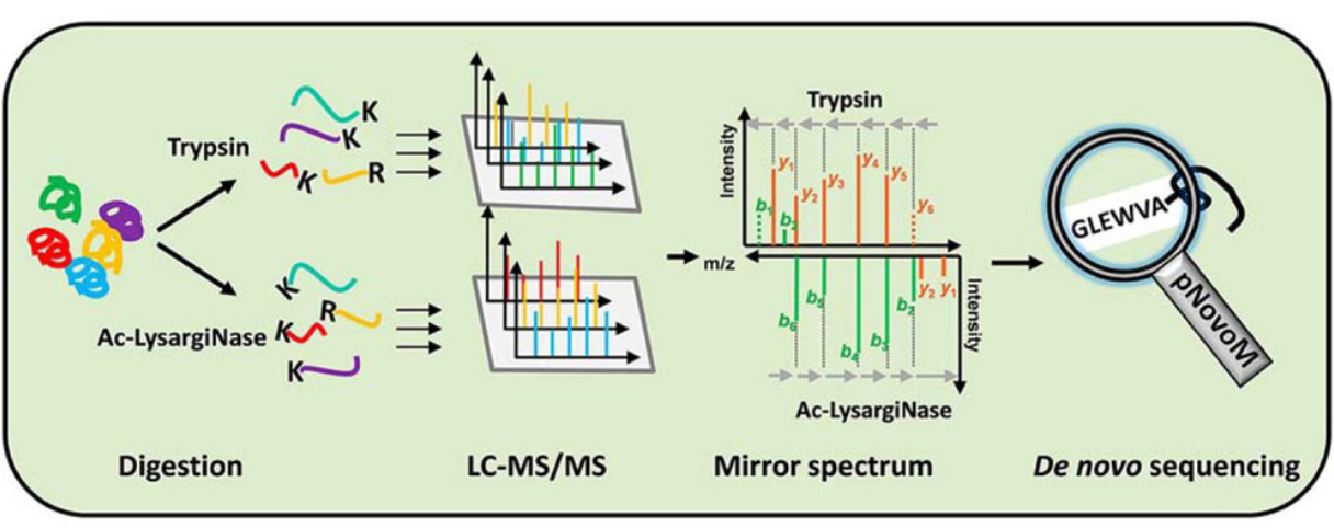 De Novo Sequencing Mass Spectrometry Service | MtoZ Biolabs De Novo Sequencing Mass Spectrometry Service | MtoZ Biolabs