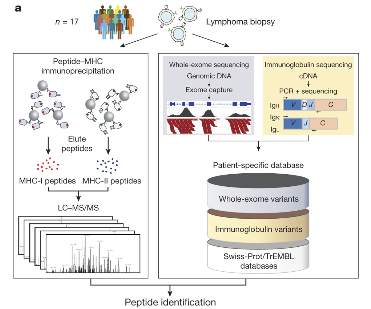 De Novo Sequencing Mass Spectrometry Service | MtoZ Biolabs De Novo Sequencing Mass Spectrometry Service | MtoZ Biolabs