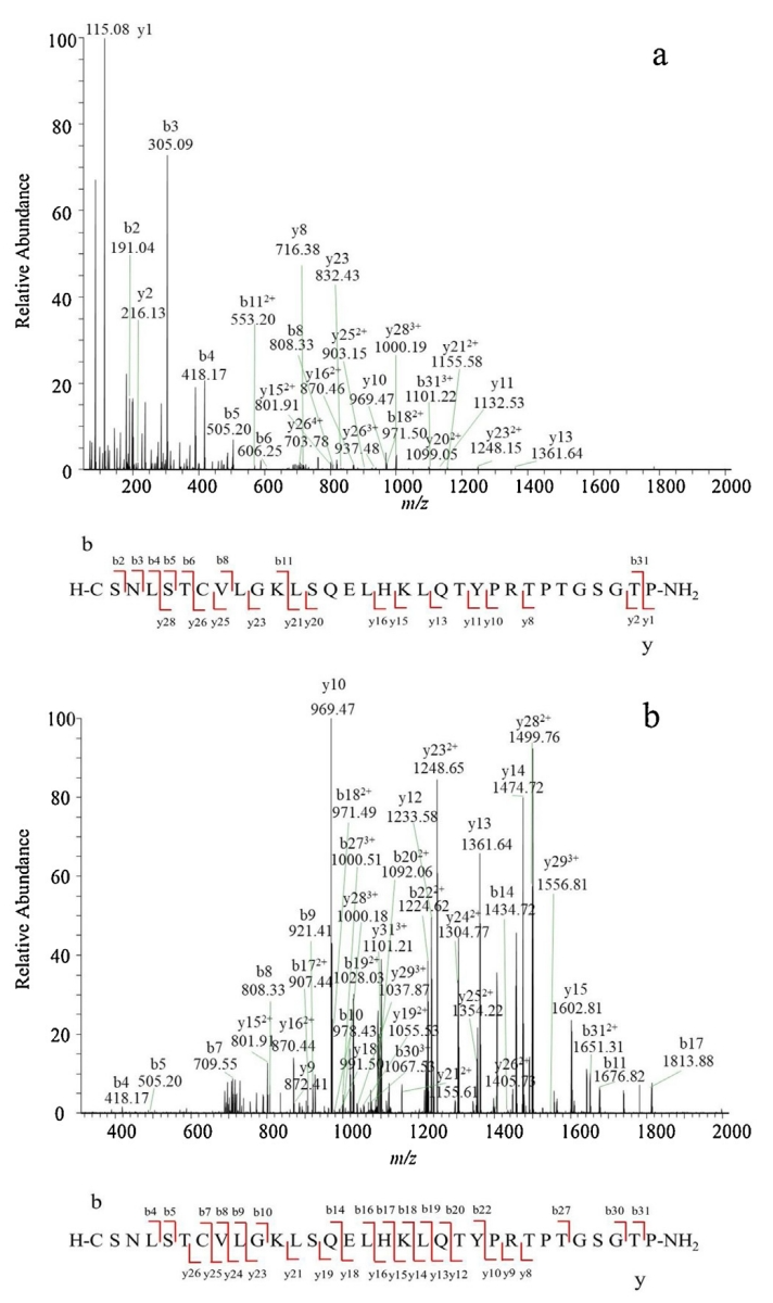 Mass Spectrometry Quantification Service | MtoZ Biolabs Mass Spectrometry Quantification Service | MtoZ Biolabs