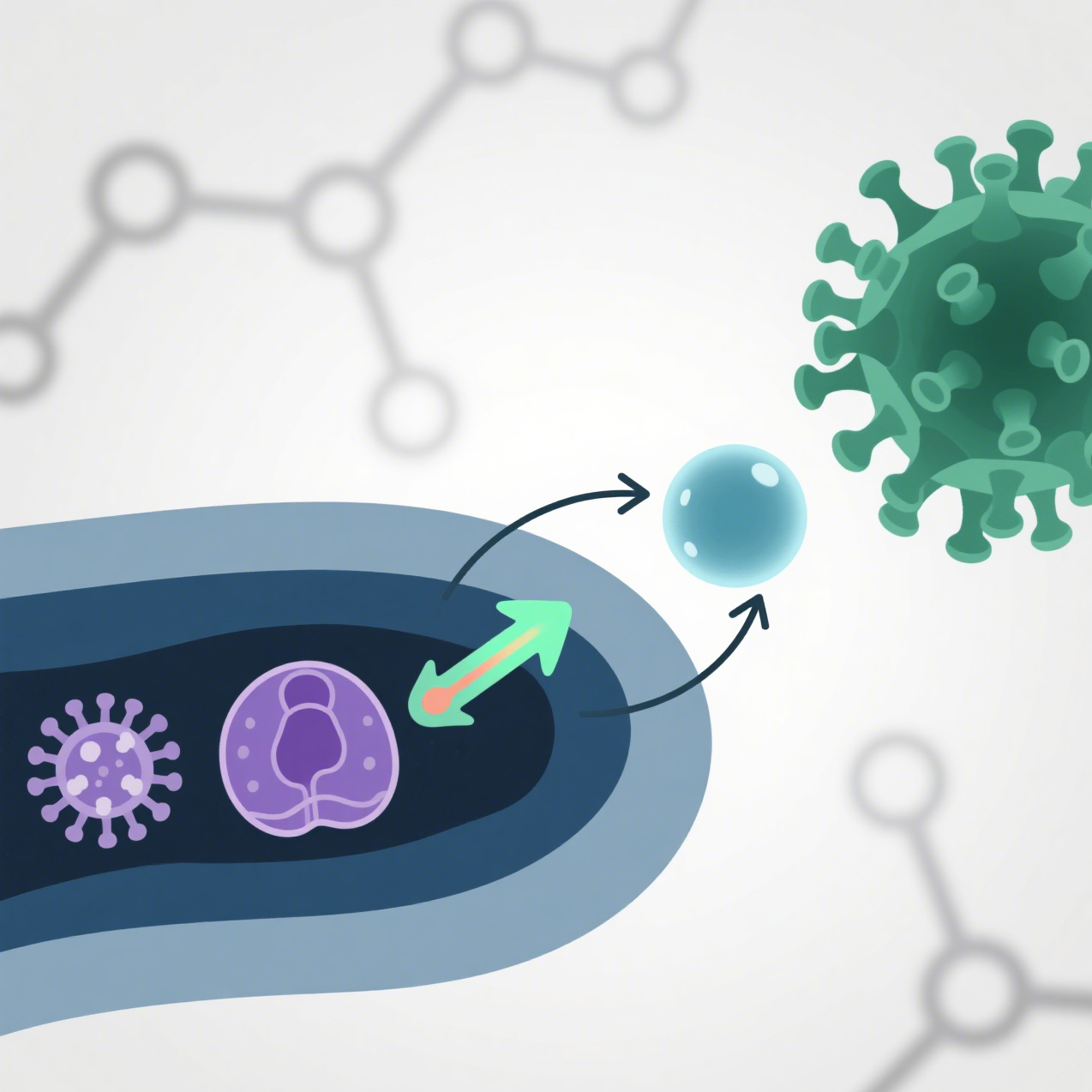 Exosome Function | MtoZ Biolabs