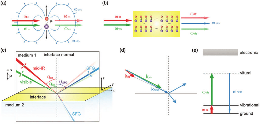 Sum Frequency Generation Sfg Vibrational Spectroscopy Service Mtoz Biolabs