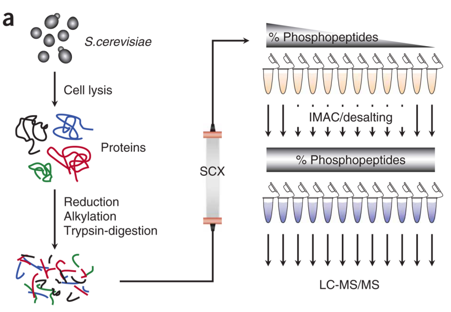 Complex Mixture Analysis Service | MtoZ Biolabs