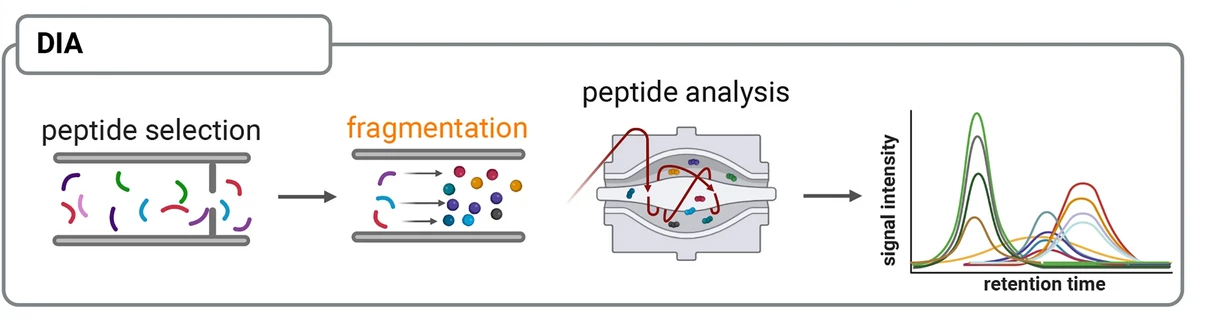 DIA-Based Peptide Quantification Service | MtoZ Biolabs