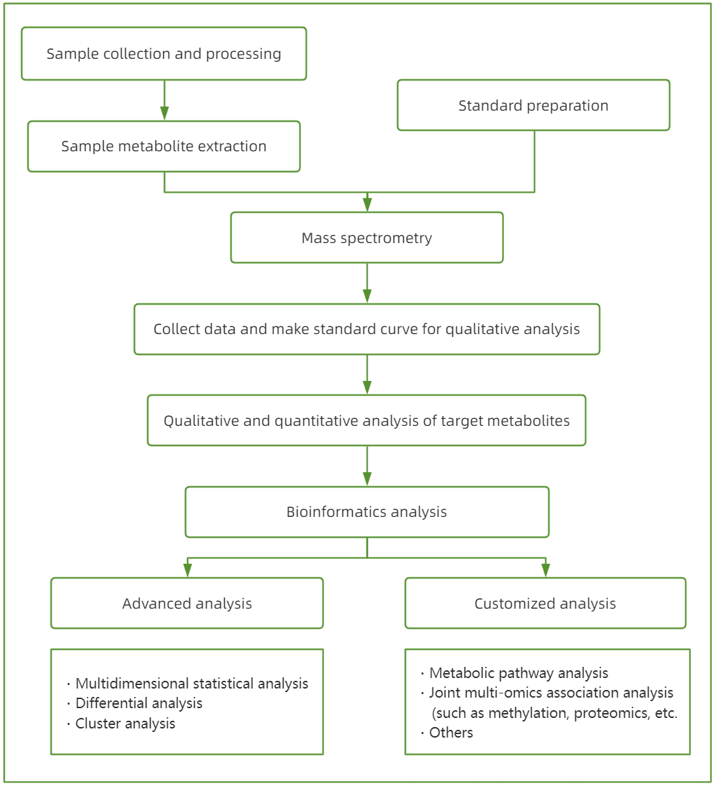 β-Cryptoxanthin Oleate Analysis Service | MtoZ Biolabs