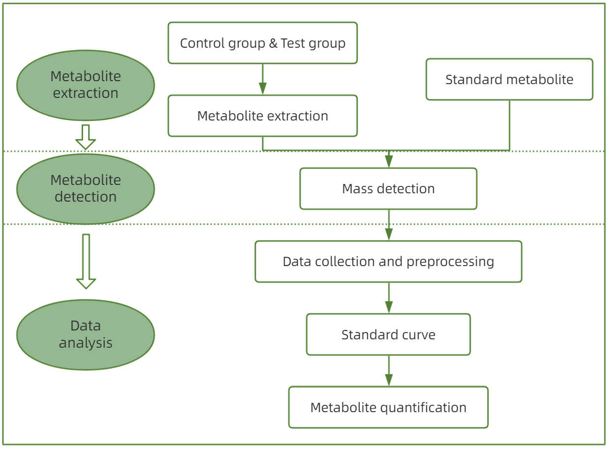 β-Cryptoxanthin Analysis Service | MtoZ Biolabs